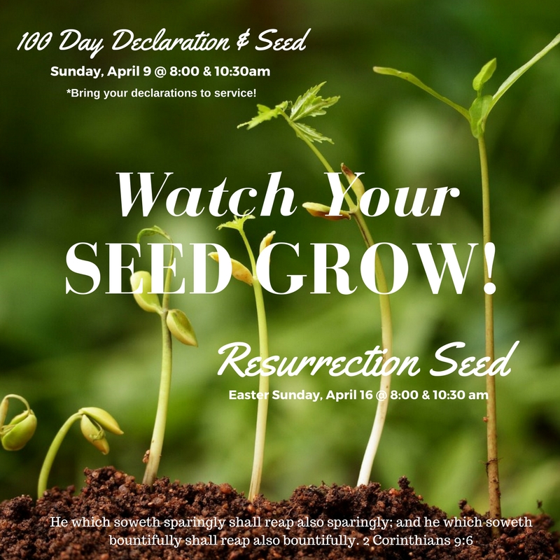 Watch Your Seed Grow - The Revelation Of Christ Church